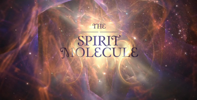 DMT - Spirit Molecule (video) - TBU NEWS